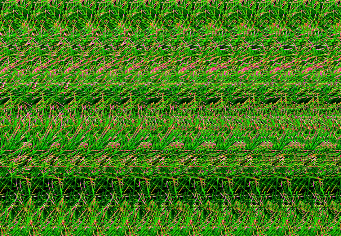 Remember Those Hidden 3D Images 