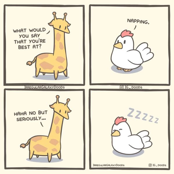 Zzzz Zzzz