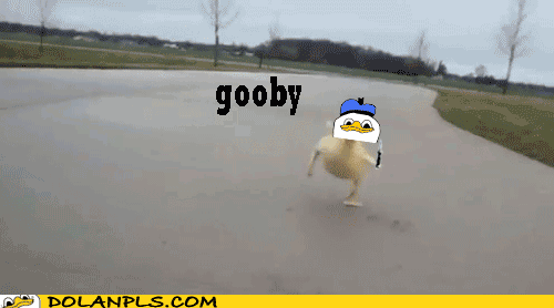 Gooby pls