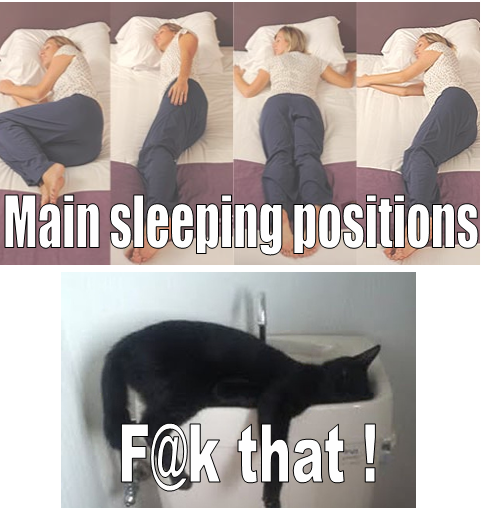 How many f*s do I give