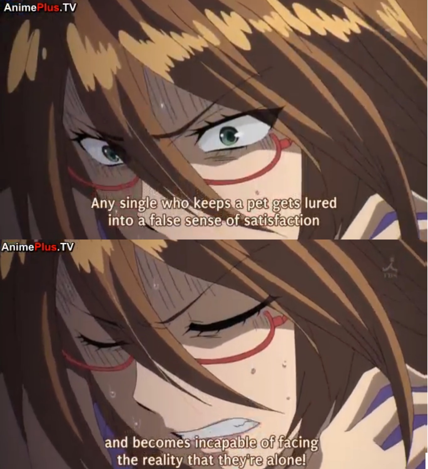 Watch Anime They Said It Would Be Fun They Said Watch Anime They Said It Would Be Fun They Said
