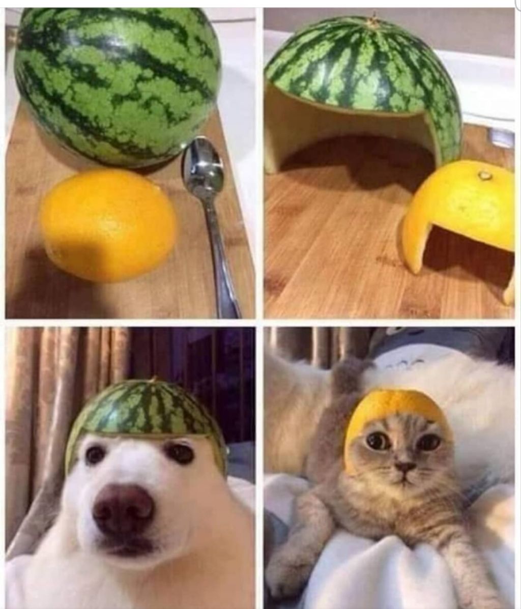HUGELOL The Funniest Place On The Internet HUGELOL The Funniest Place On The Internet