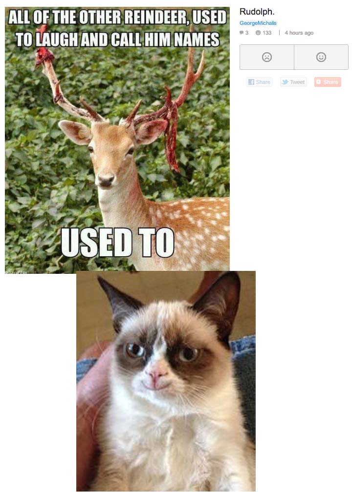 Grumpy Cat Found A Friend