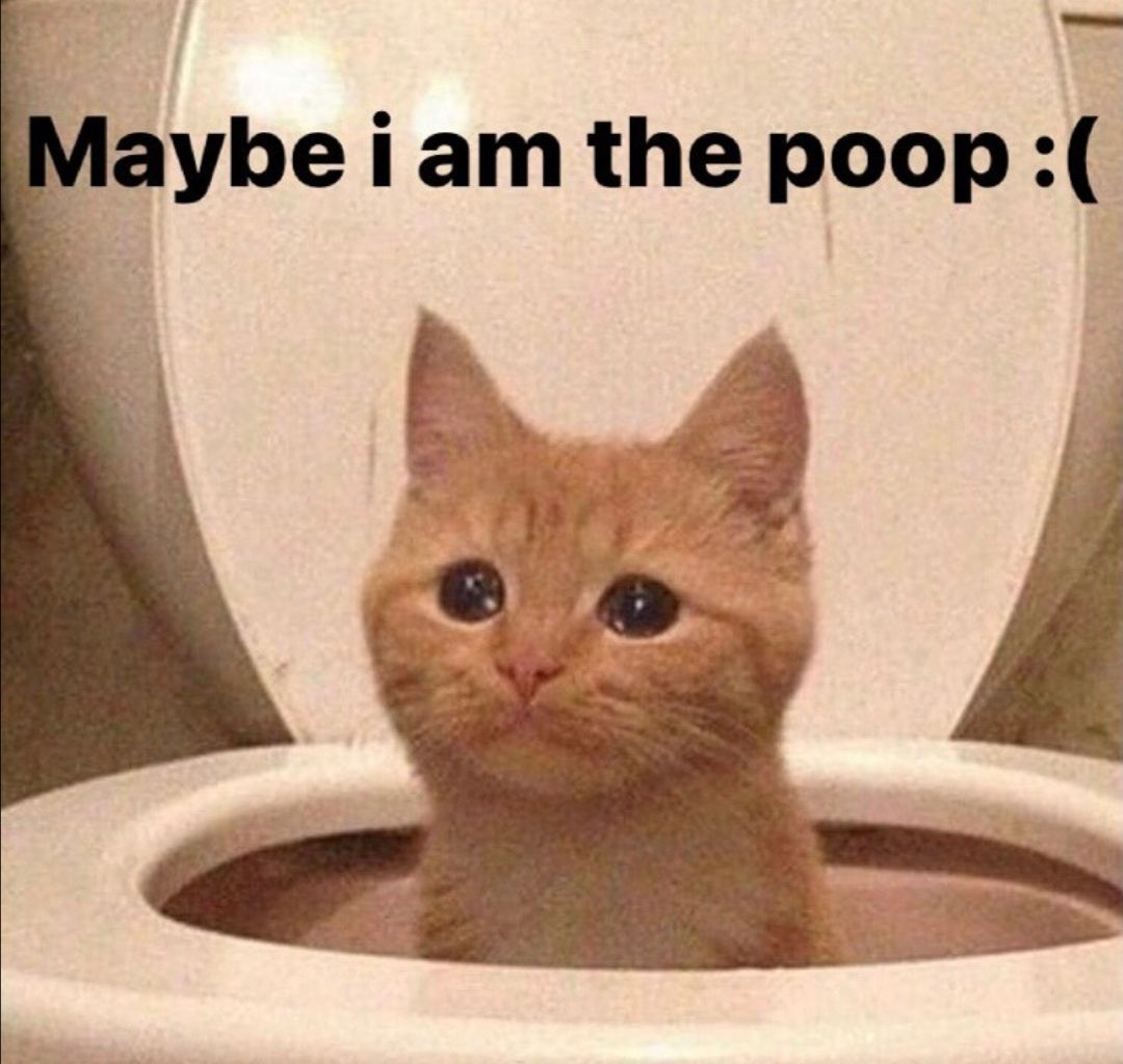 It Would Seem So It Would Seem So