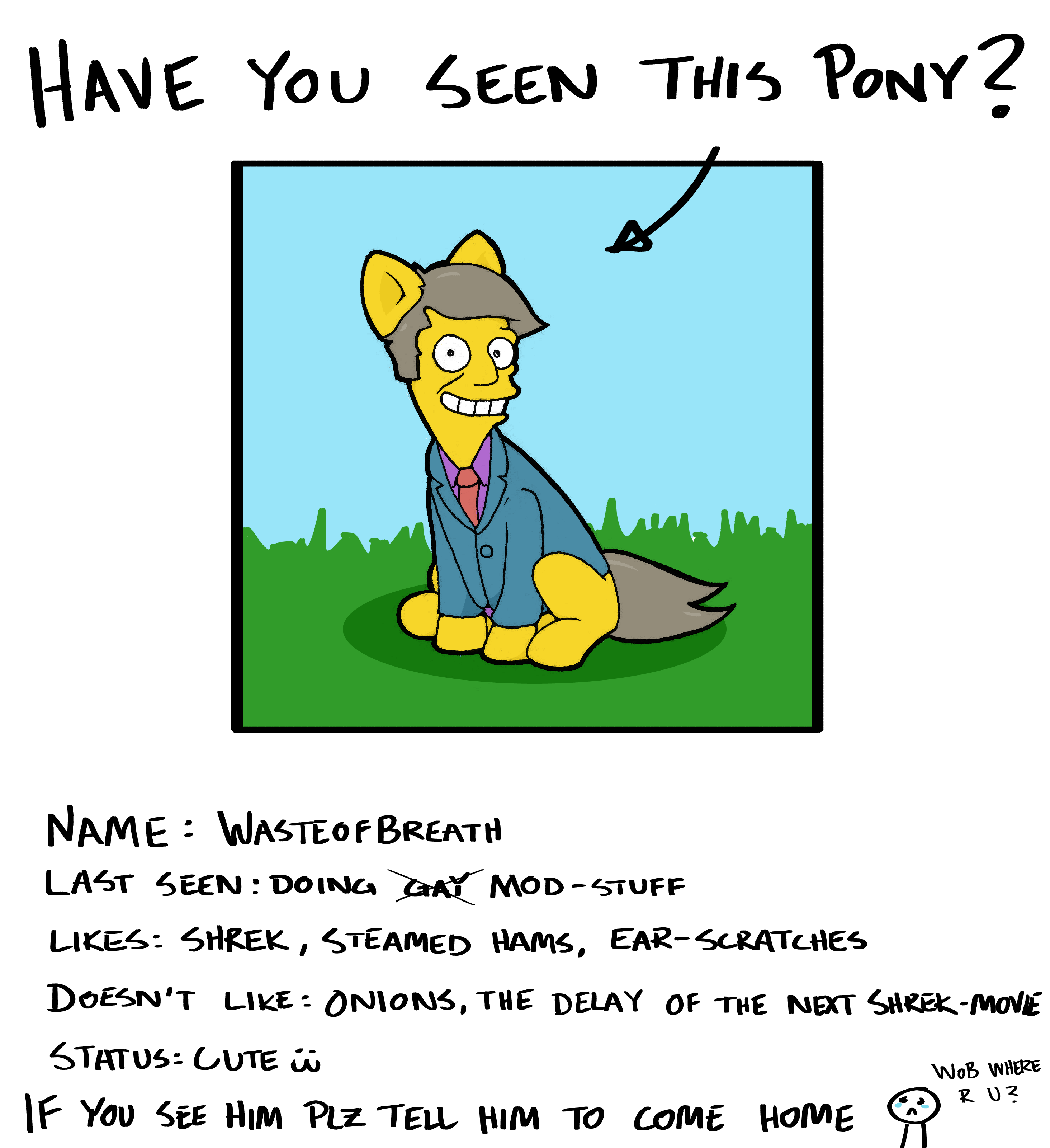  MISSING PONY 