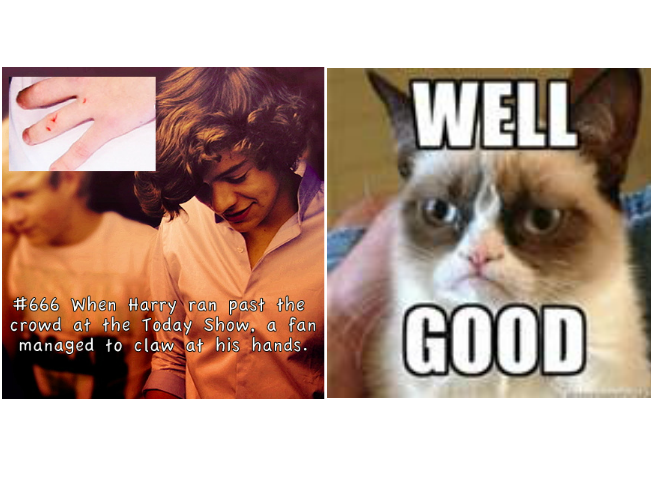 Grumpy Cat Approves