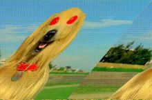 Crazy japanese Calbee dog mascot