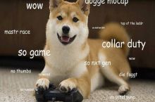 These gamer dogs...