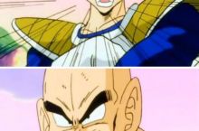 TFS Nappa