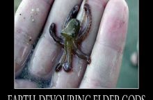 Cthulhu now in fun sized