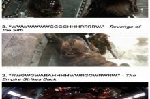 Top 5 Chewbacca Quotes. Hard to narrow down these wise words.