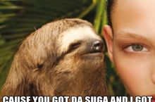 rape sloth doesn't ask