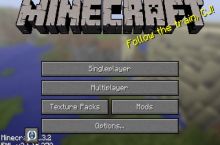 Wtf minecraft