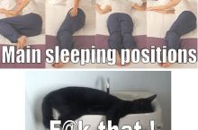 How many f*s do I give