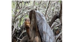 What an REAL pimp looks like.