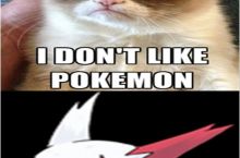 Grumpy Cat meets its alternate in the Pokemon world