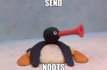 Noots