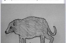 Very Fast Doggo Running at Incredible Hihg Speed