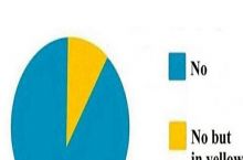 Most accurate pie chart ever!