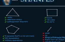 a guide to shapse