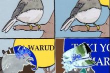 Jojo's bizarre birb