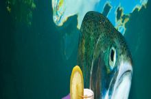 :thinking intensifies