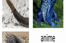 Good thing I have a taco profile picture