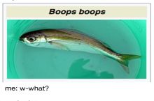 Boops boops