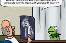 Poor Kermit