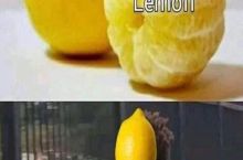 John Lemon