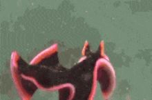 PRAISE FLATWORM FRIDAY