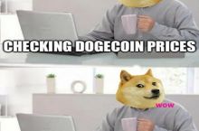 The currency is backed by memes