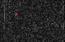 Crazy Stickfigure Randomness 3