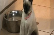 contemplating life choices