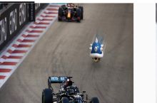 Poor Hamilton didn't even know what hit him..