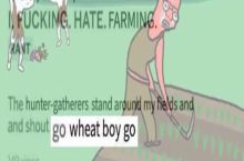 go wheat boy go