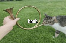 Doctor Dudders will toot when he pleases