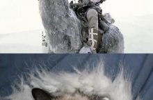 Grumpy Cat on Luke Skywalker!