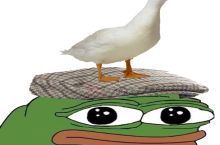 Pepe/apu a day - 617 duck