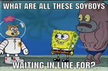 chudbob soypants