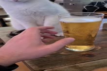 Dudders helping me with my alcoholism