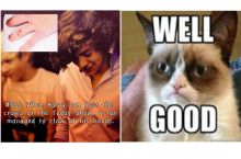 Grumpy Cat Approves