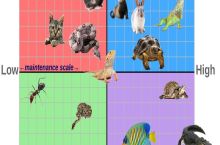 accurate political compass