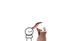 ***