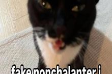***